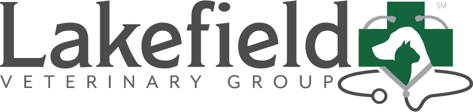 Meet Our Team - Lakefield Careers