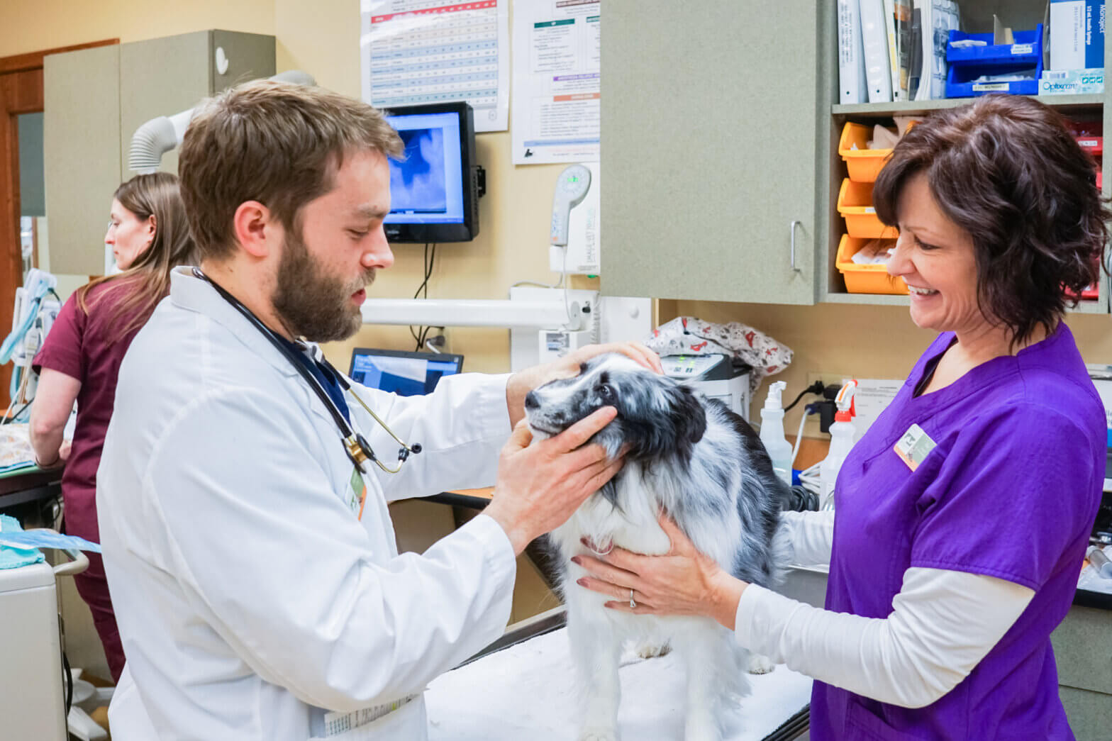 Home - Lakefield Careers